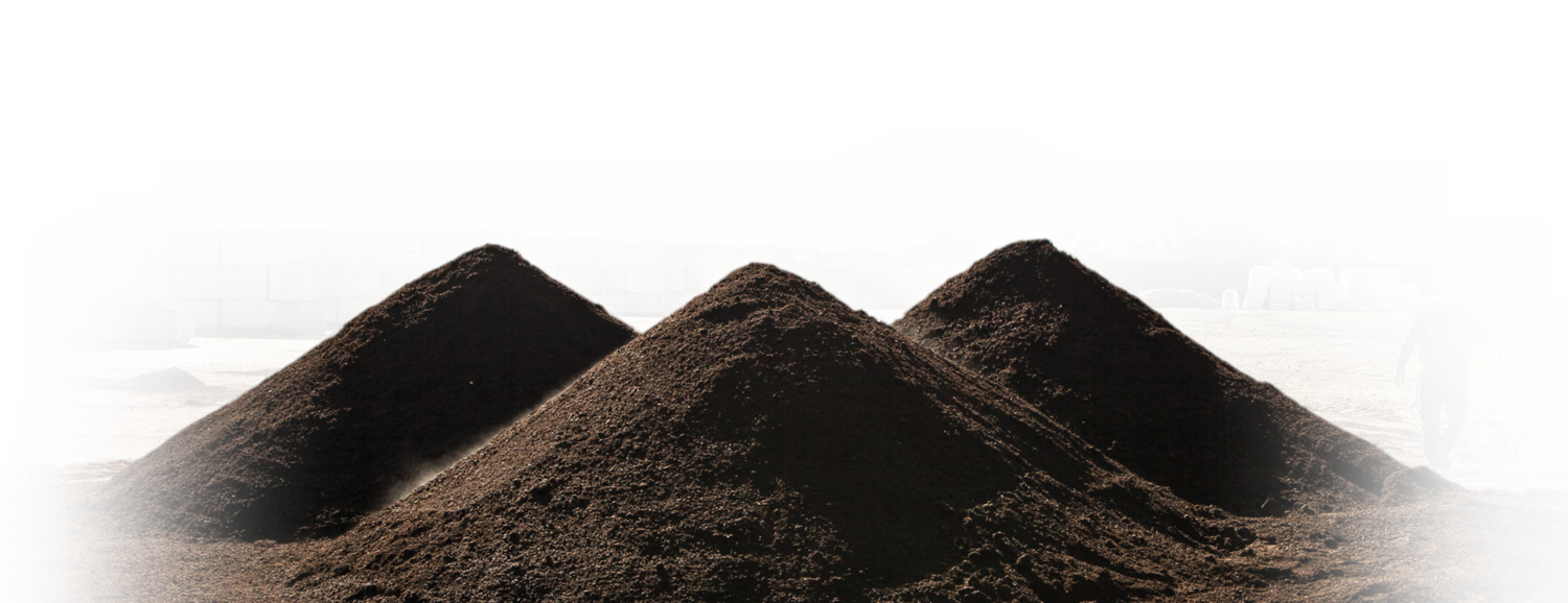 Homepage - Rogue Soil