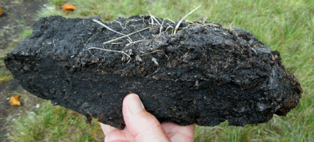 Everything You Ever Wanted To Know About Peat - Rogue Soil