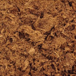 Homepage - Rogue Soil