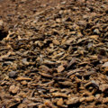 Homepage - Rogue Soil