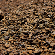 Homepage - Rogue Soil