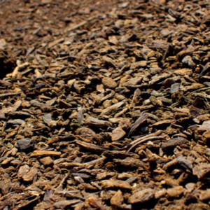 Homepage - Rogue Soil